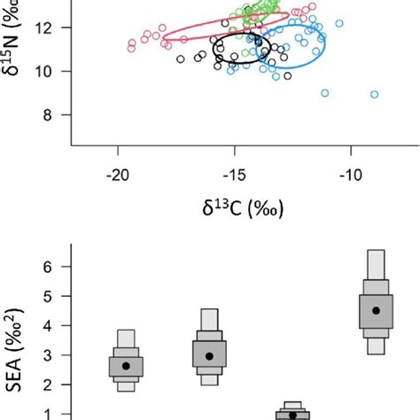 A Stable Isotope Bi Plot Illustrating The Isotope Niches Of