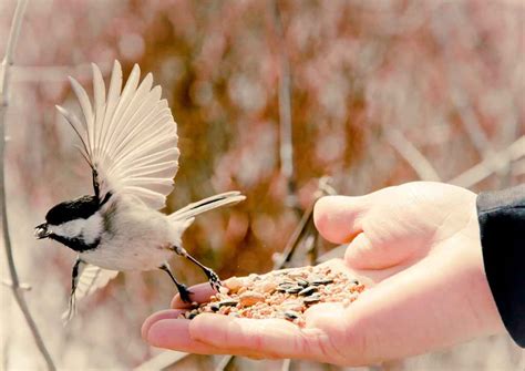 Featherlight The Ultra Slim Jquery Lightbox