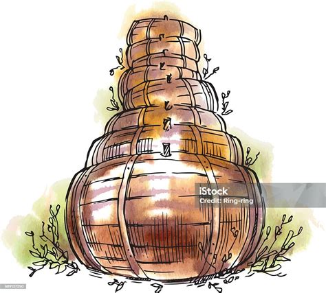 Tangan Dibuat Sketsa Ladang Anggur Dan Kebun Anggur Ilustrasi Stok