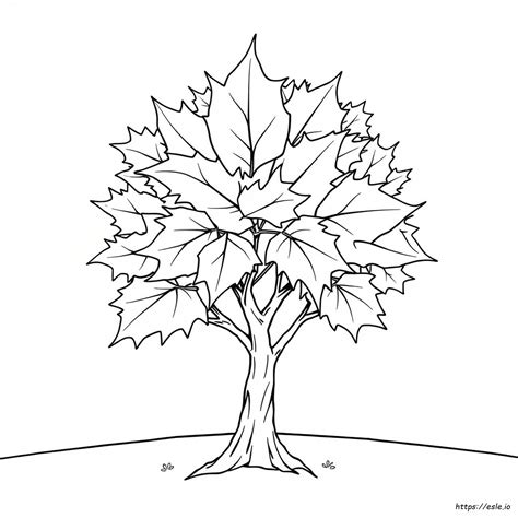 Juharlevél Színező