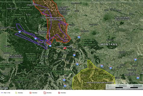 Montanas Migratory Grizzly Bears Fay Ranches