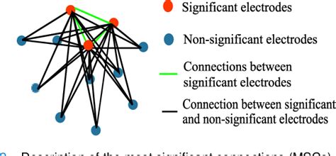 Figure 2 From Eeg Based Brain Functional Network Analysis For