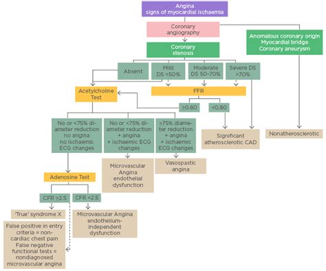 Microvascular Angina Diagnosis Assessment And Treatment Emj