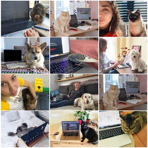 Symphony Solutions On Linkedin Symphonysolutions Workfromhome