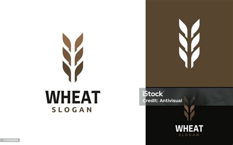 빈티지 레트로 현대 밀 곡물 농장 음식 빵 굽기 로고 디자인 브랜딩 템플릿 곡초류에 대한 스톡 벡터 아트 및 기타 이미지 곡초류 농업 농장 Istock