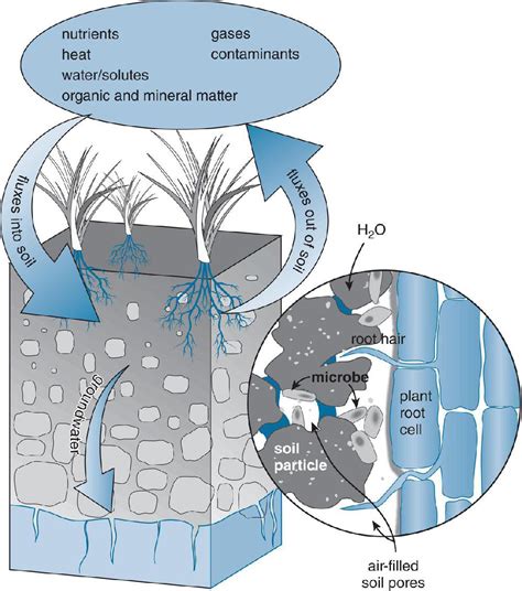 PDF Soil Chemistry By Daniel G Strawn EBook Perlego