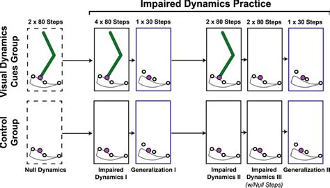 Experimental Protocol For Virtual Locomotor Manipulation Task The Download Scientific Diagram