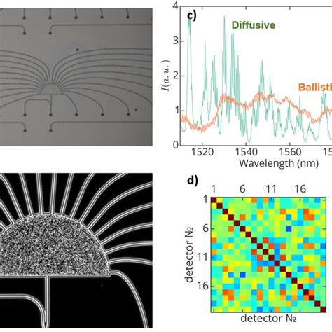 A Bright Field Image Of The Integrated Random Spectrometer B