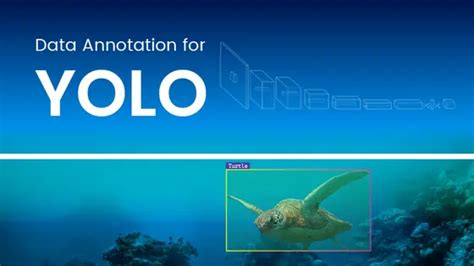 Preparing Data For YOLO Training Data Annotation Techniques And Best Practices BasicAI S Blog
