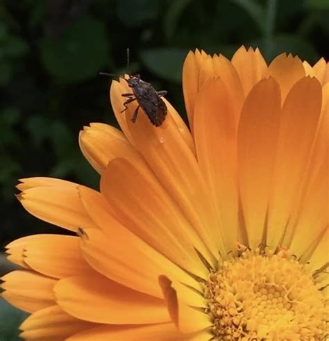 Best 3d Room Design Tool Transform Your Space With Ai Decoratly