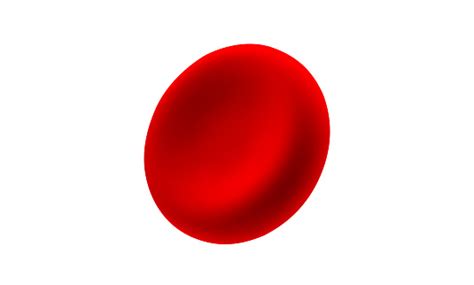 적혈구 또는 적혈구 흰색 배경에 격리 혈액학 미생물학 건강 인간의 그림헤모글로빈의 3d 현실적인 벡터 사진 과학에 대한 스톡 벡터 아트 및 기타 이미지 Istock