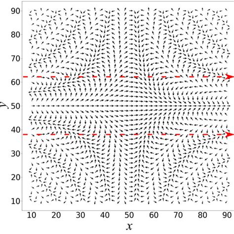 numerical solution of the polarization distribution in the presence of