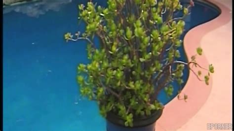 Horny Lesbians Games Outdoor Eporner