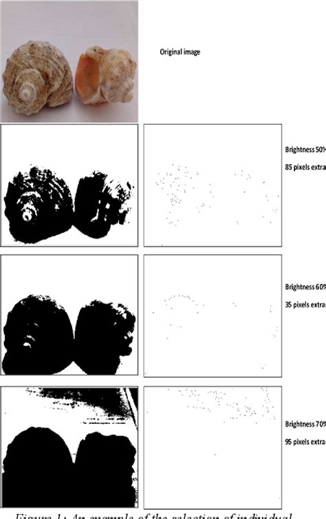 Figure 1 From Steganographic Method For Reserving Hidden Information