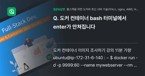 도커 컨테이너 bash 터미널에서 enter가 안쳐집니다 인프런 커뮤니티 질문and답변
