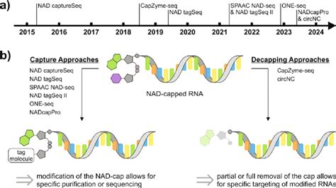 A Timeline Of Nad Rna Identification Protocols Ordered By Date Of Download Scientific
