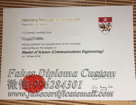 Fake Engineering Degree Collage Template