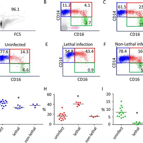 Gating Strategy For The Identification Of Monocyte Subsets In Cattle Download Scientific