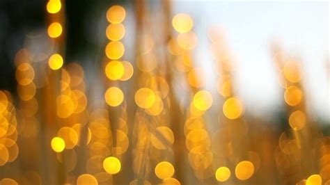 Bokeh Indonesian Stock Video Footage For Free Download