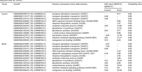 table 1 from comparative transcript profiling of maize inbreds in