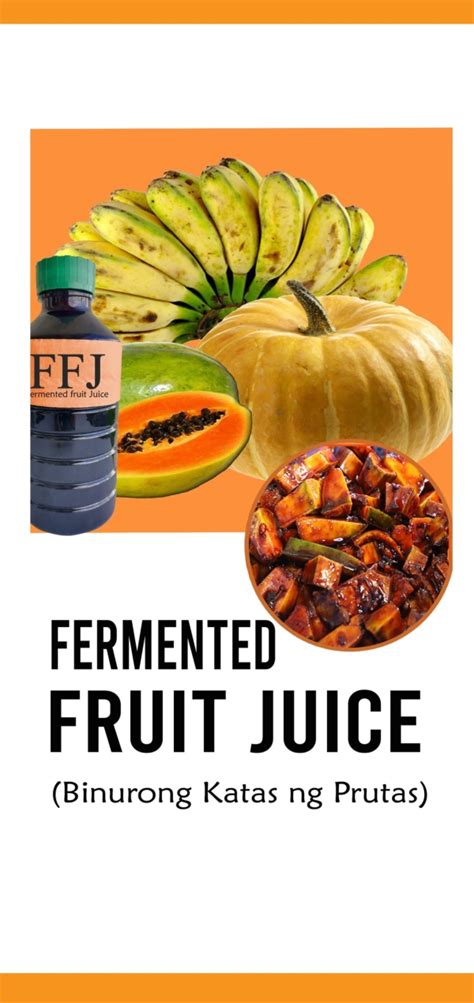 Fermented Fruit Juice Ati Mimaropa