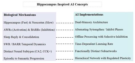 Neuroplasticity Meets Artificial Intelligence: A Hippocampus-Inspired Approach to the Stability ...