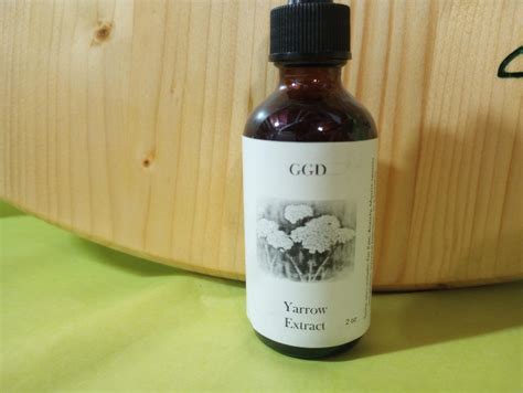 Yarrow Extract Etsy