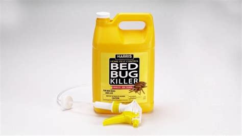 Lowes Bed Bug Products