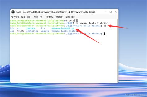 使用openKylin操作系统下载VMware Tools教程超详细图文教程 openkylin安装vmwaretools CSDN博客