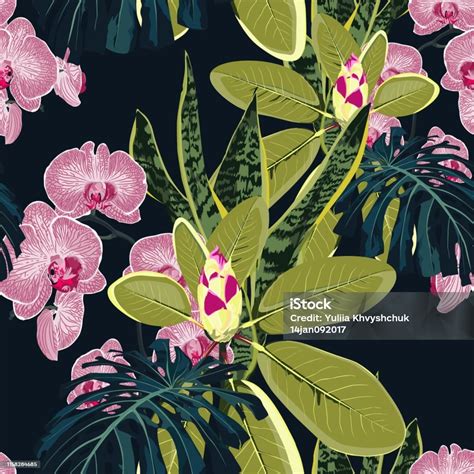분홍색 난초 꽃 가지와 이국적인 식물과 야자 수 괴물 잎의 많은 종류와 원활한 패턴 손으로 수채화 스타일 일러스트 검은 색 배경을 그립니다 0명에 대한 스톡 벡터 아트 및