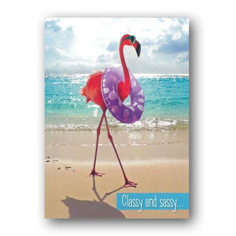 Funny Flamingo Birthday Card By Avanti Flamingo Birthday Funny