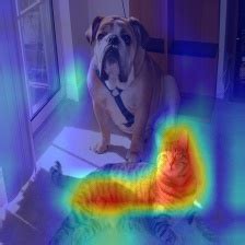 CNN Heat Maps Class Activation Mapping CAM Glass Box