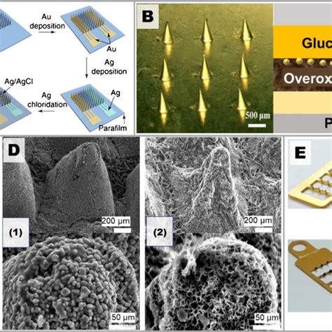 Microneedle Based Electrochemical Sensors For Minimally Invasive Download Scientific Diagram