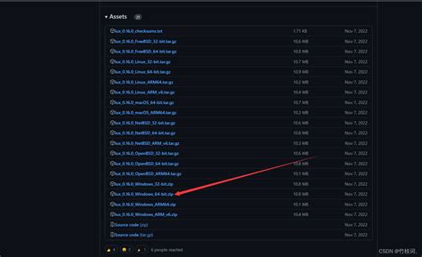 Annie视频下载软件的安装教程annie下载 Csdn博客