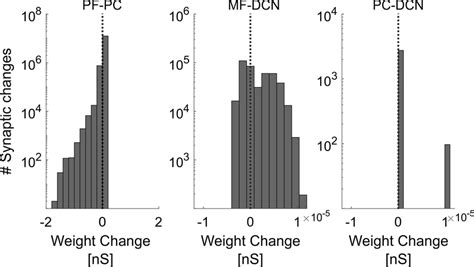 Evolution Of Individual Synaptic Weights Along Trials Histogram Of