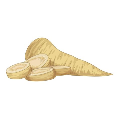 6 페이지 무료로 다운로드 가능한 생강 벡터 And 일러스트 Freepik