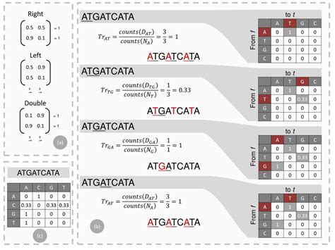 Pdf Computation Of Transition Matrices