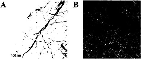 Method For Constructing Ph Distinguishing Colorimetric Biosensor Eureka Patsnap