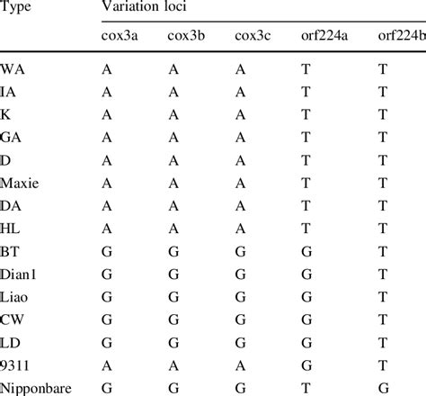 Summary Of Snps In Coding Regions Of Cox3 And Orf224 Of The 13 Rice Cms Download Table