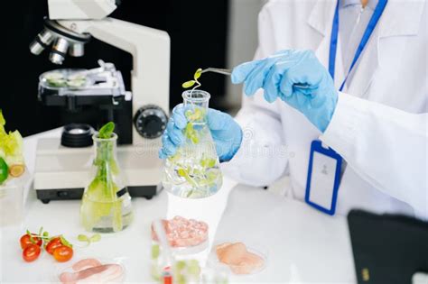 Food Science As Lab Scientists Test And Analyze Vegetables For Safety And Quality Using Advanced