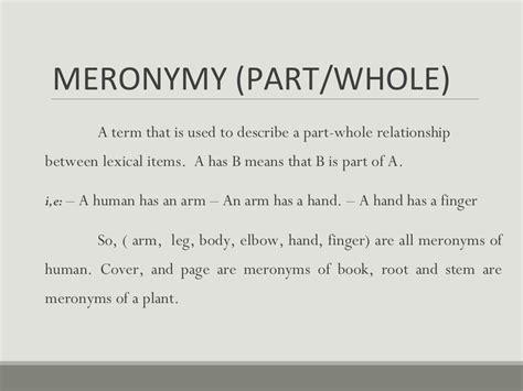 semantic relation among words