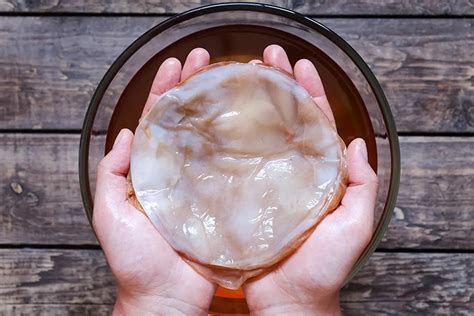 Scoby Là Gì 6 Bước Nuôi Scoby Và 5 Bước Làm Trà Kombucha