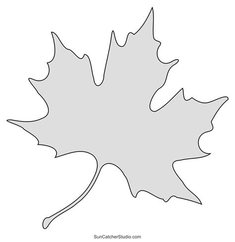 Leaf Templates Free Printable Leaf Patterns And Outlines Free