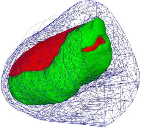 triangular surface meshes of insufflated porcine abdominal wall in