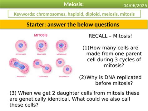 Gcse Biology Meiosis Teaching Resources