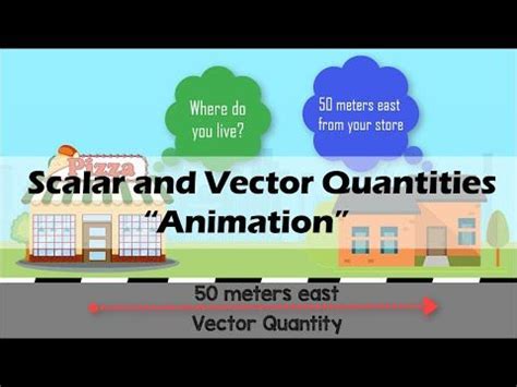 SCALAR VECTOR Physics Animation Physics Ap Physics Physical Science