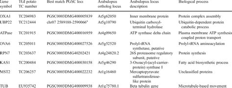 Candidate Reference Genes Used For Gene Expression Normalization In