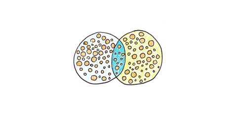 How Much Transfer Should We Expect Between Skills Scott H Young