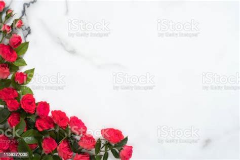 대리석 배경에 장미 꽃으로 만든 프레임입니다 빨간 장미 꽃 봉오리와 녹색 잎 꽃 구성 인사말 카드 모형 0명에 대한 스톡 사진 및 기타 이미지 Istock