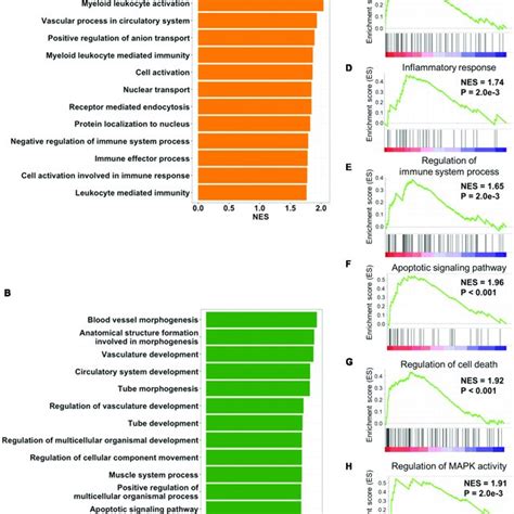 Results Of Wgcna And Module Preservation Analysis A Dendrogram